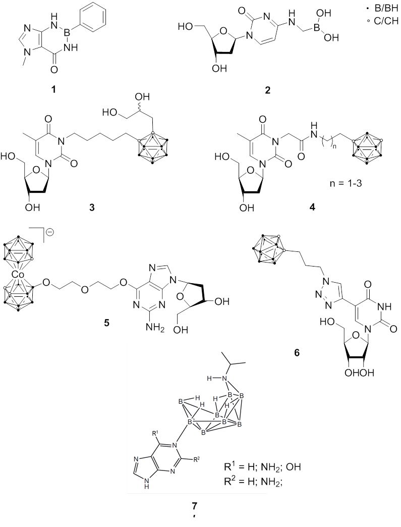 Entwicklung von Bor-enthaltenen kleinen Molelülen als BNCT-Reagenzien ...